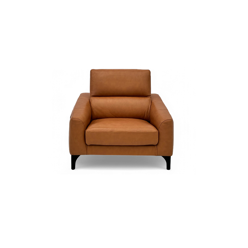 Reo II Armchair Smart